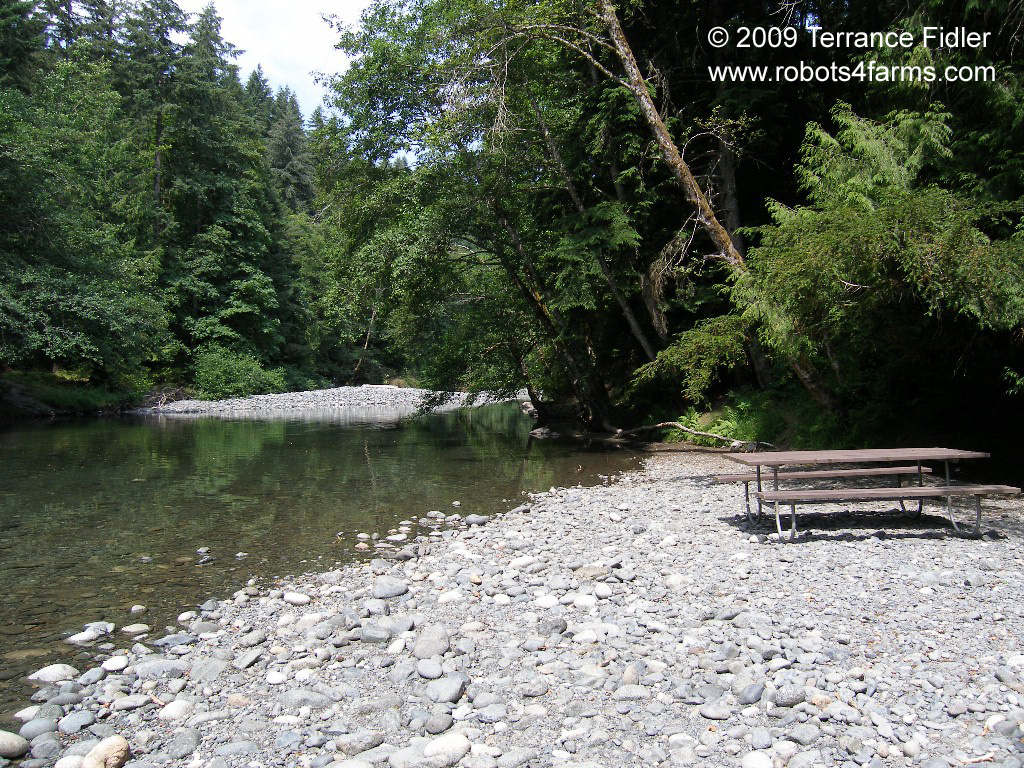 Aquatic but non-marine life from Vancouver Island: Scuba Diving Pictures